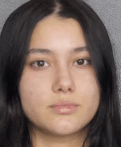 High-speed Lexus at 124 mph results in fatal crash killing attorney ...